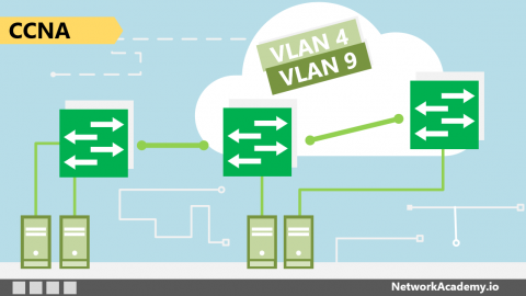 Cisco CCNA 200-301 (v1.1) Complete Learning Path | NetworkAcademy.io